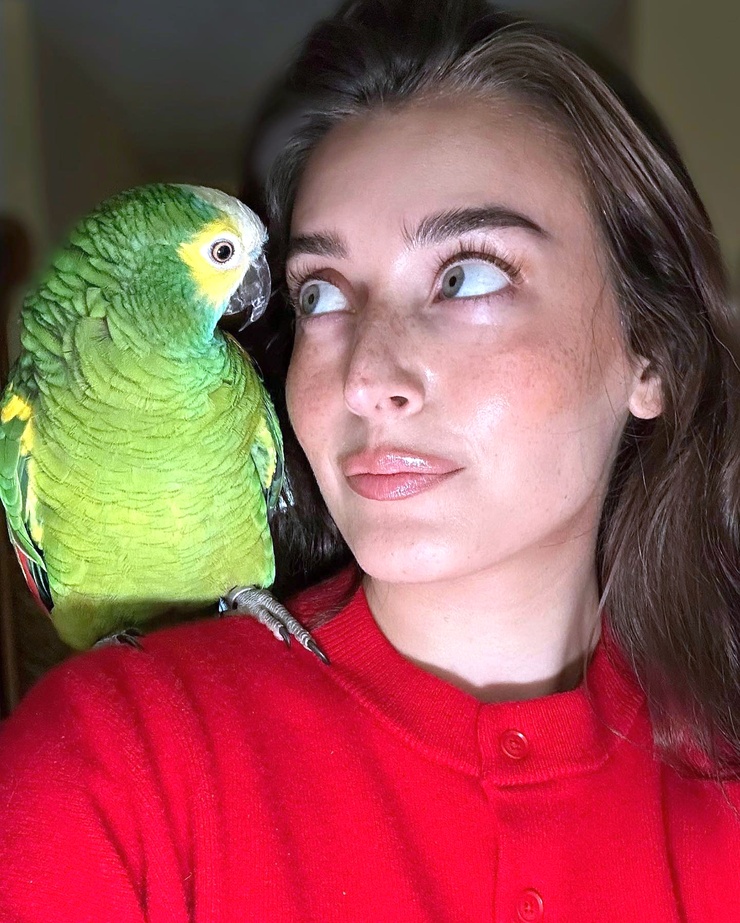Jessica Clements picture