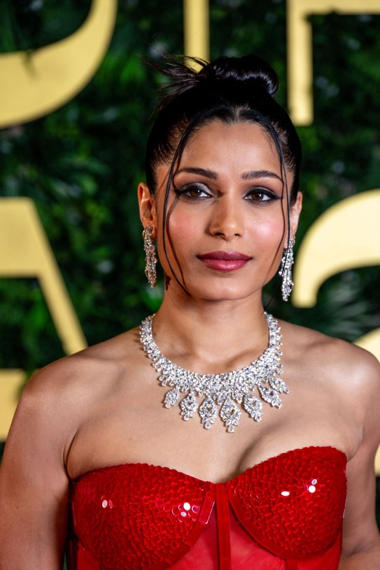 Picture of Freida Pinto