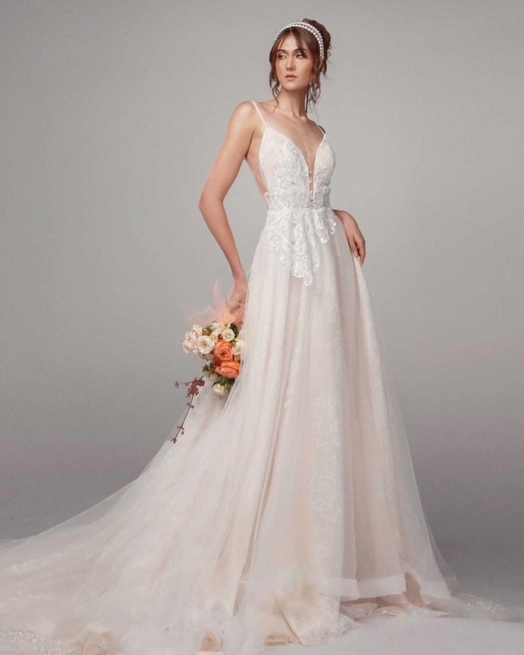 Picture of Taylor Creeden