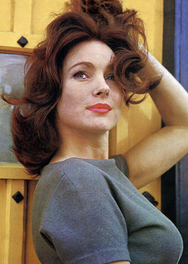 Picture of Shirley Anne Field