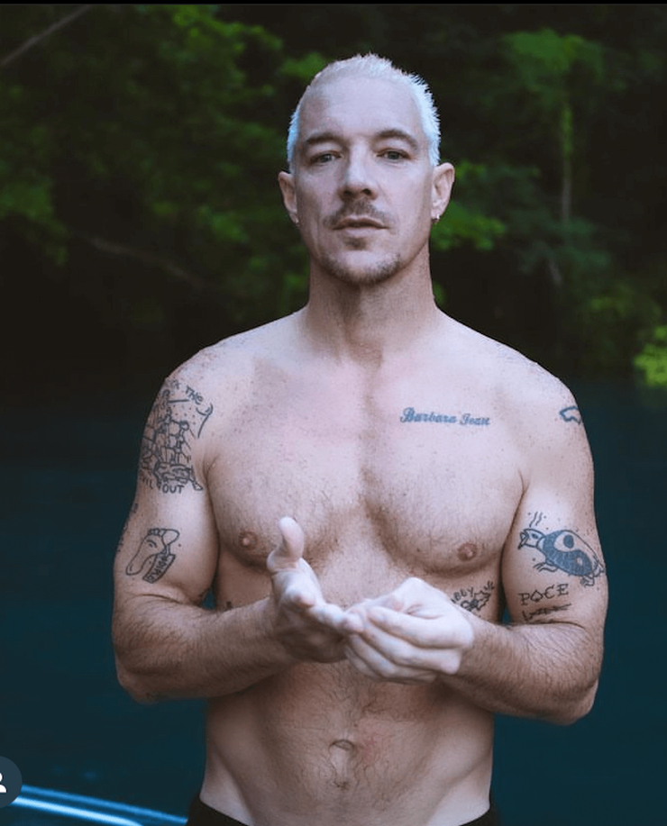 Picture of Diplo