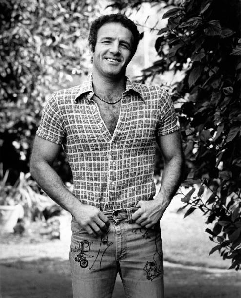 Picture of James Caan