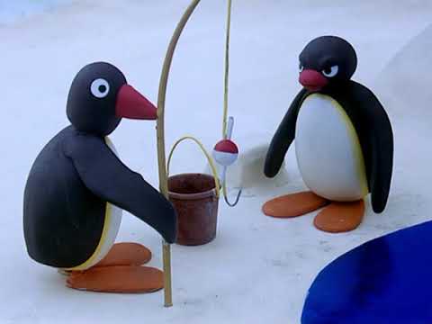 Pingu