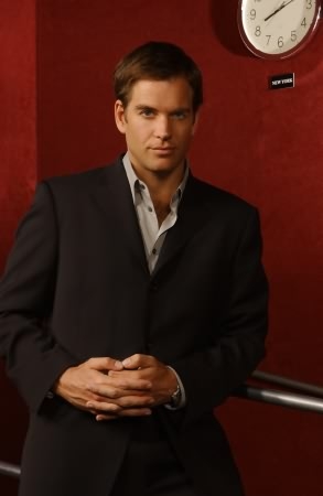 Michael Weatherly picture