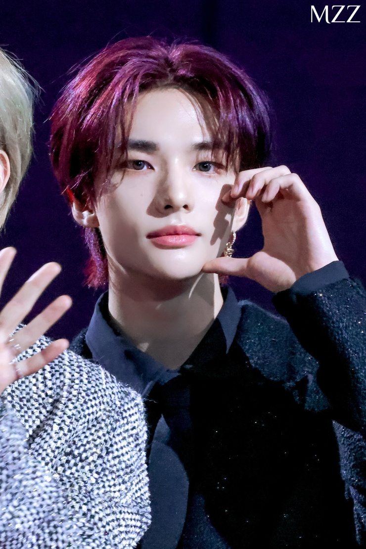 Hyun-Jin Hwang picture