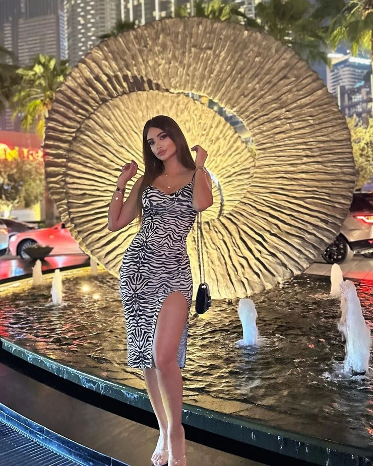 Picture of Nour El Hajj