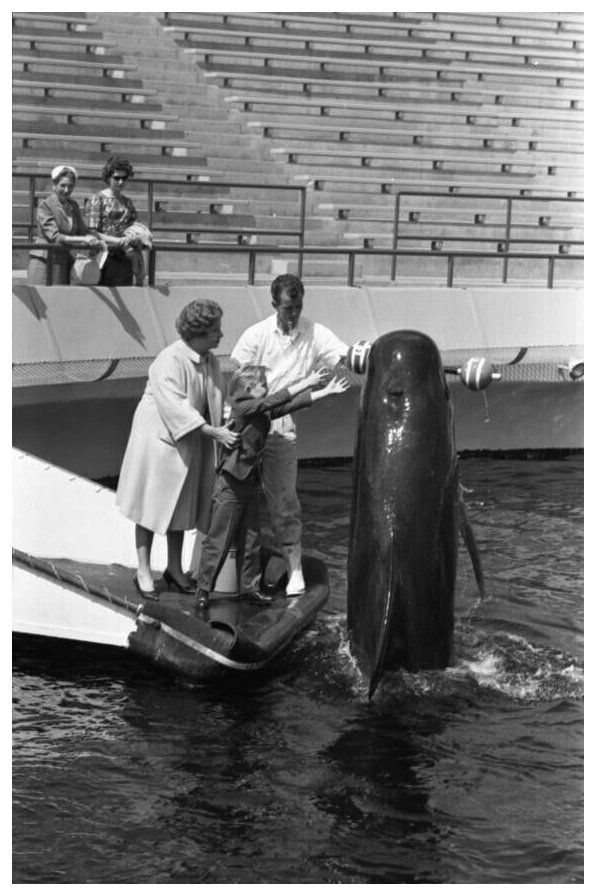 Shirley Booth, Bobby Buntrock