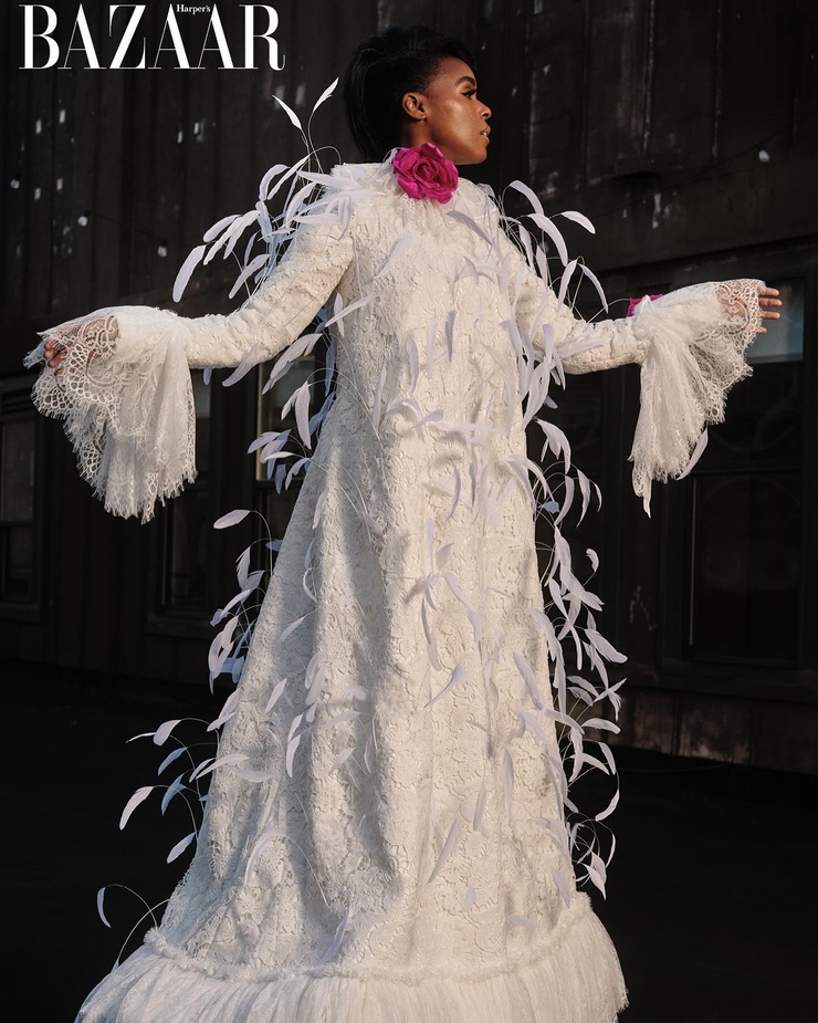 Picture of Janelle Monae