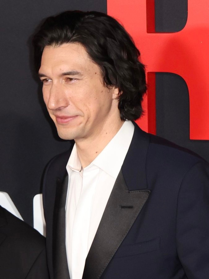 Picture of Adam Driver