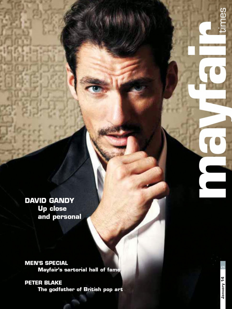Picture of David Gandy