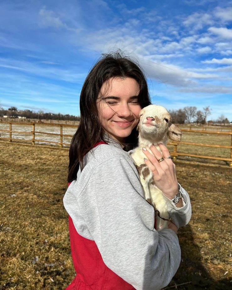 Picture of Brett Cooper