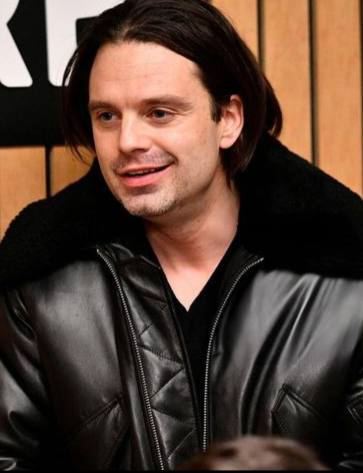 Image of Sebastian Stan