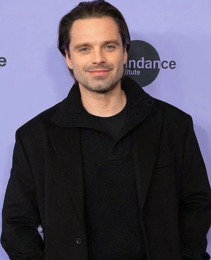 Picture of Sebastian Stan