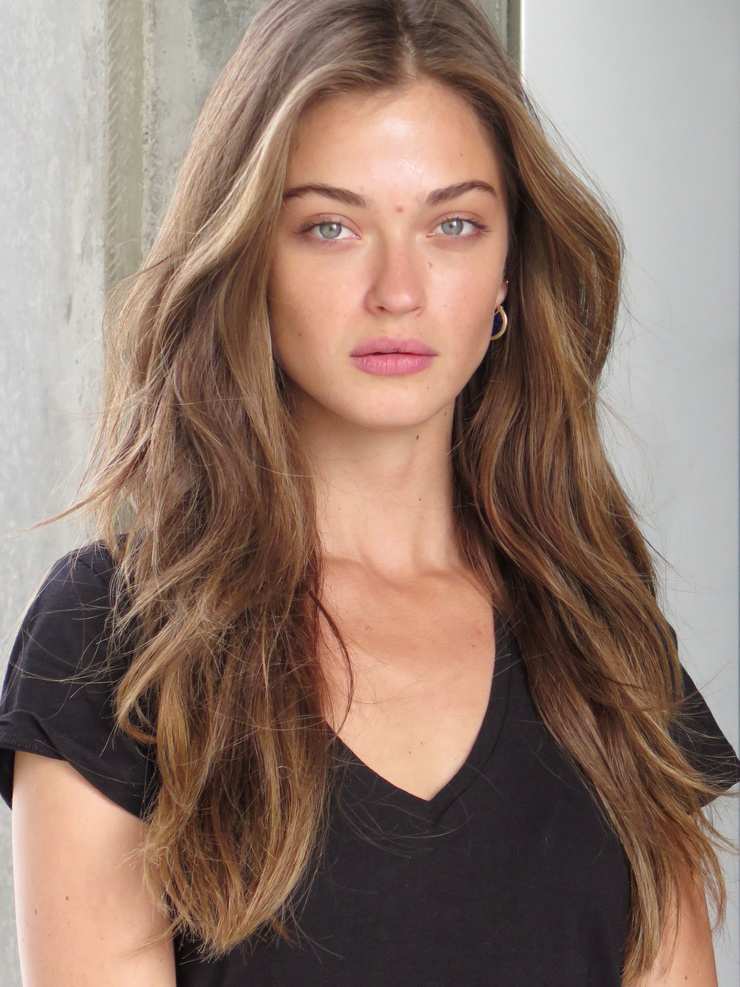 Picture of victoria plum