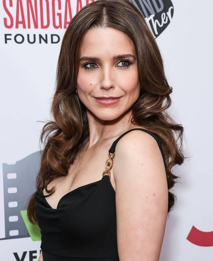 Picture of Sophia Bush