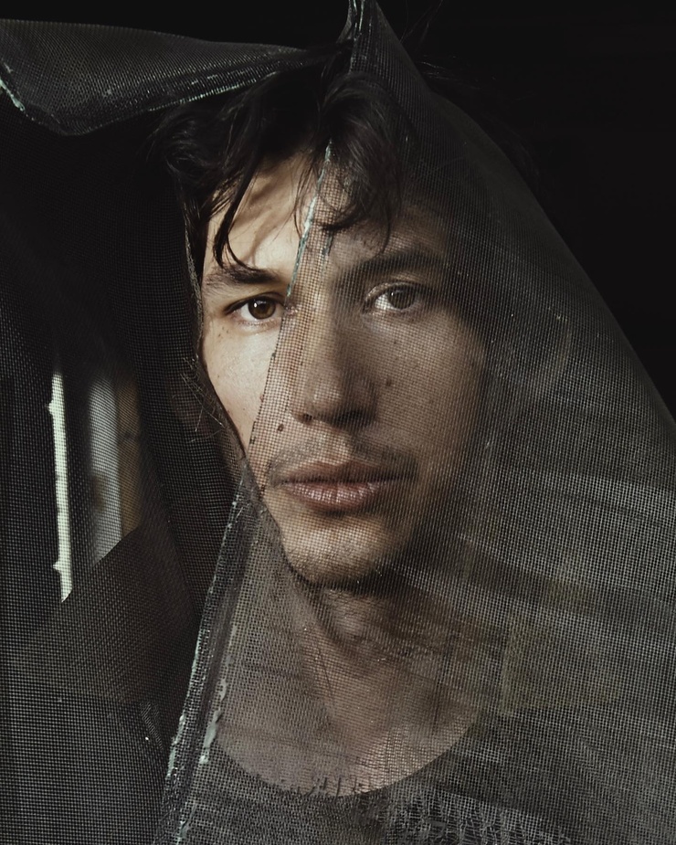 Picture of Adam Driver