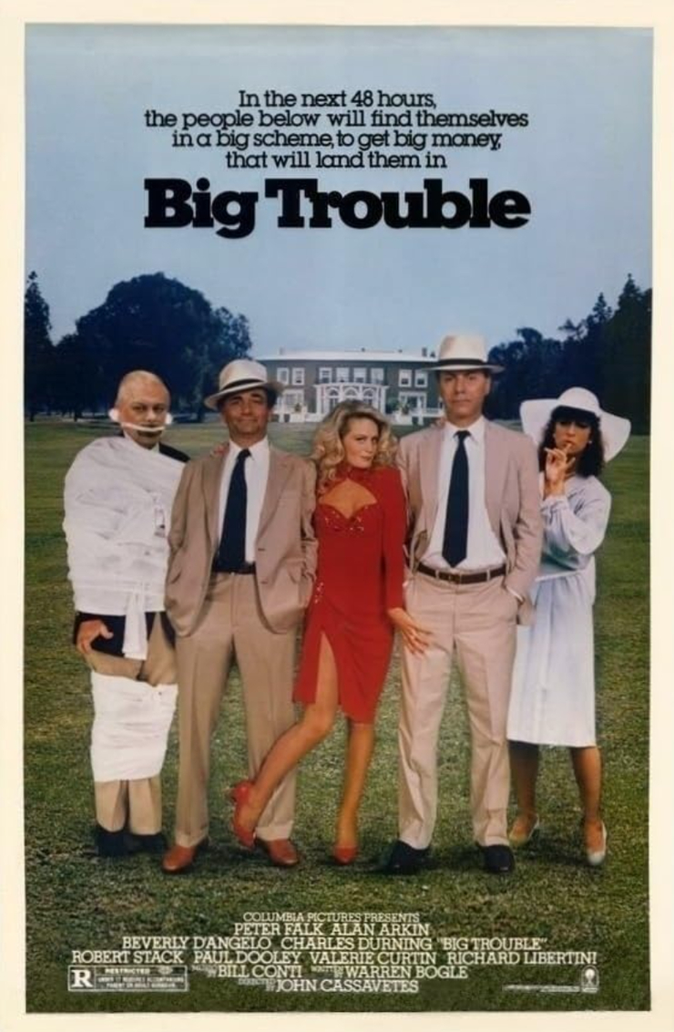Picture of Big Trouble