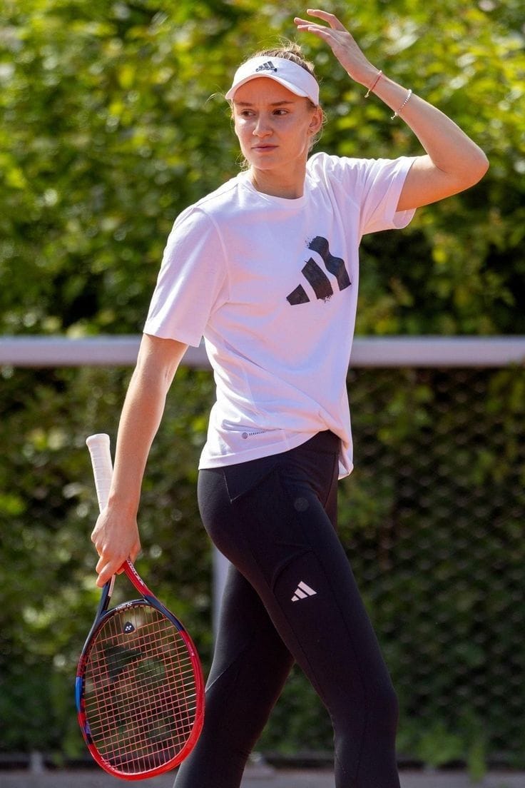 Picture of Elena Rybakina