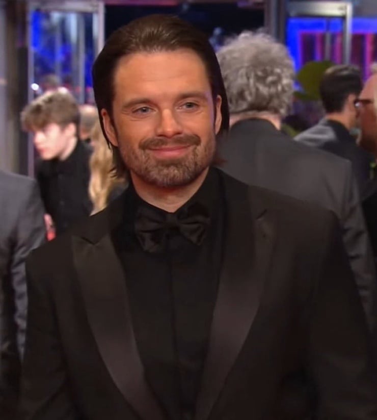Sebastian Stan picture