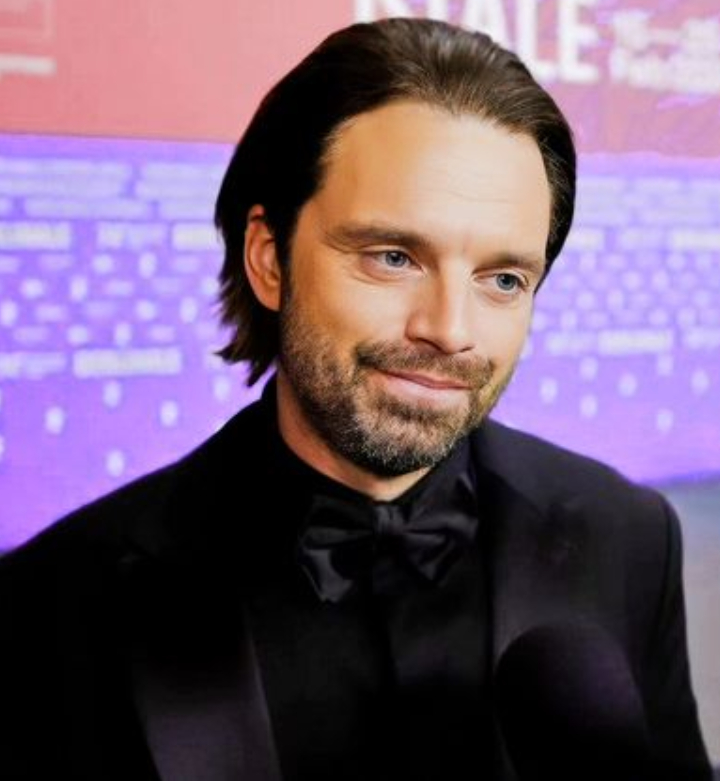 Sebastian Stan image