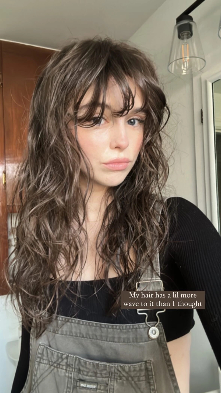 Picture of Acacia clark