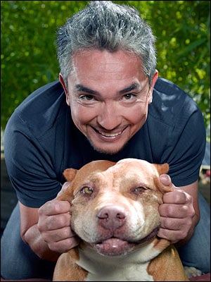 Picture of Cesar Millan