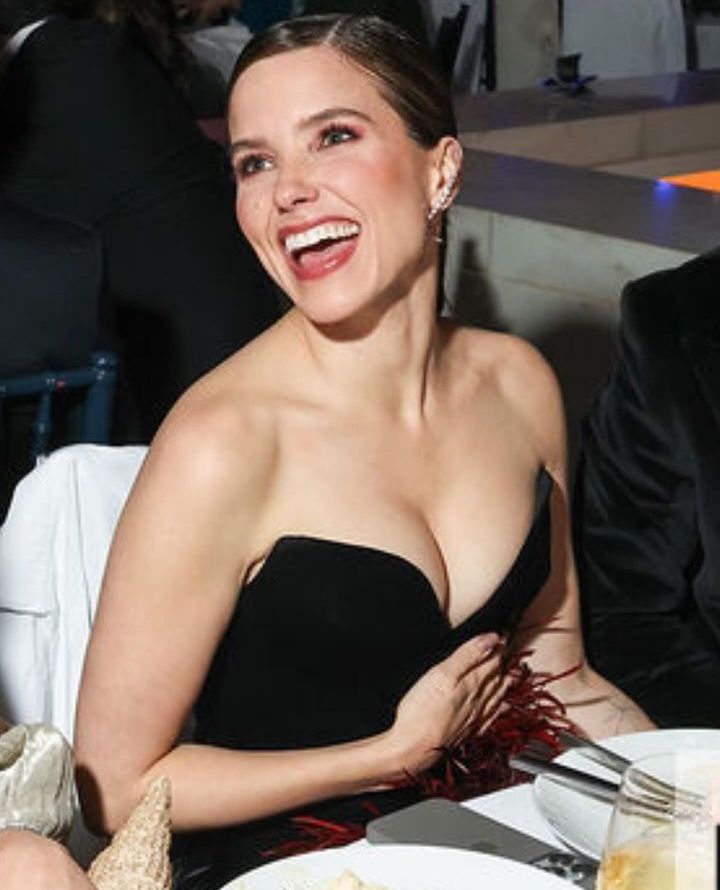 Picture of Sophia Bush