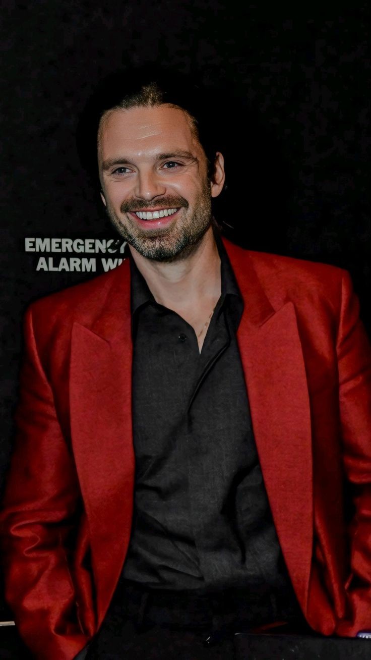Sebastian Stan image