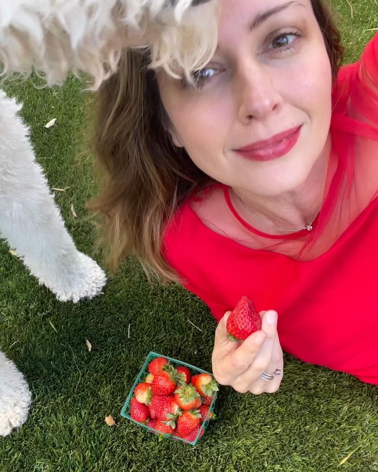 Picture of Amy Acker