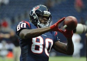 Picture of Andre Johnson