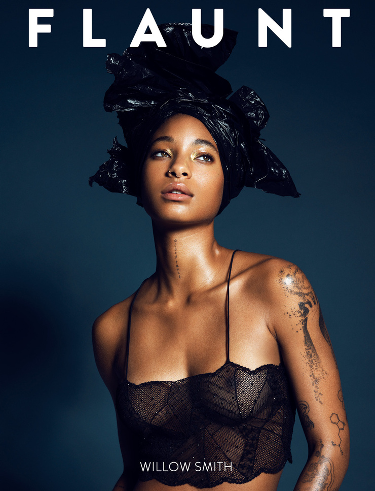 Willow Smith image