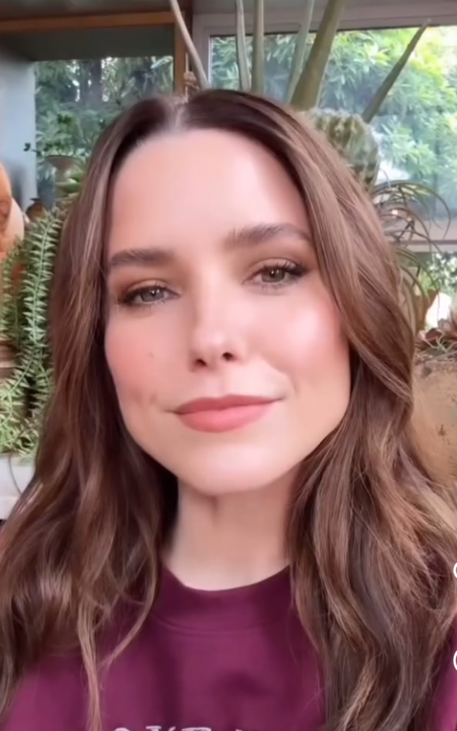 Picture of Sophia Bush