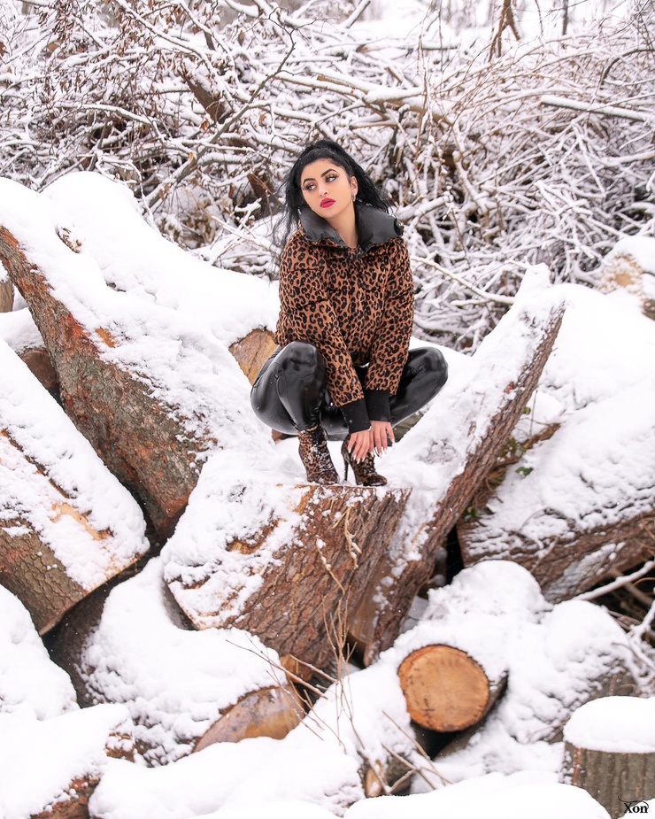 Picture of Mari Model