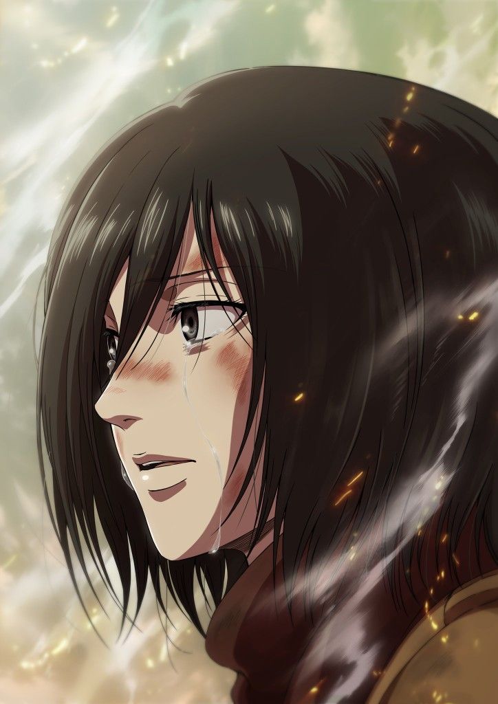 Picture of Mikasa Ackerman