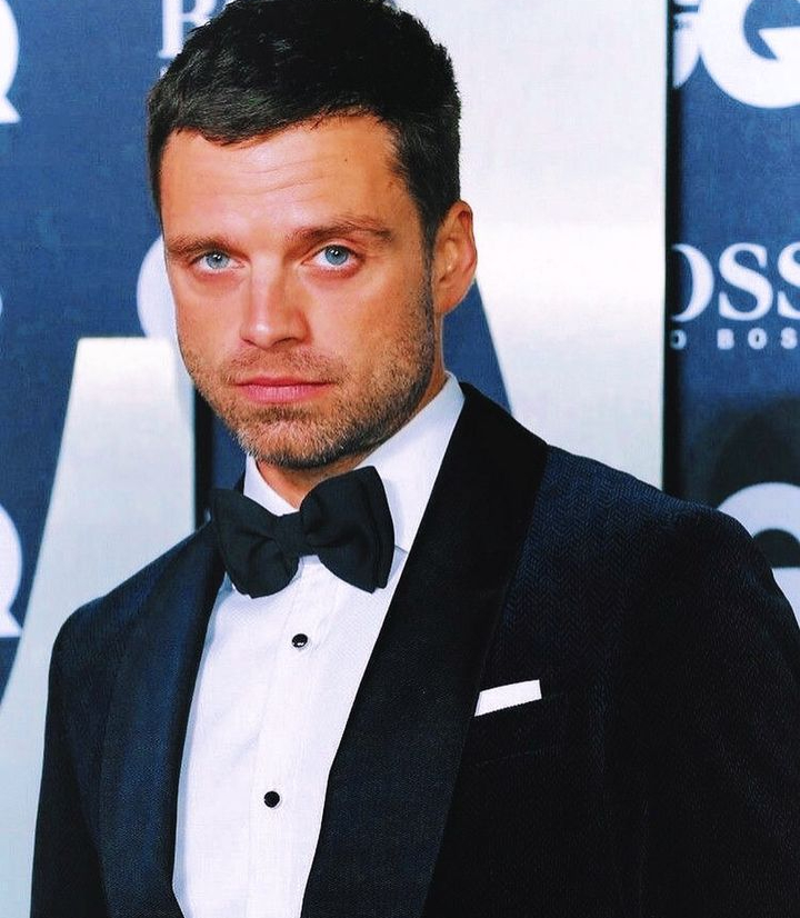 Sebastian Stan image