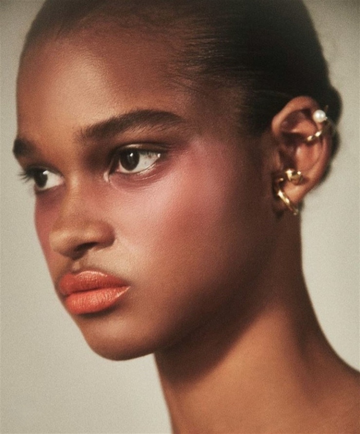 Ana Elisa Brito image