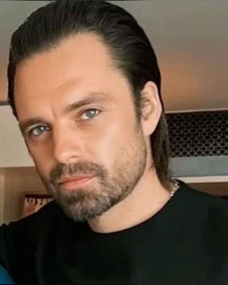Picture Of Sebastian Stan