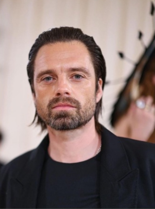 Picture of Sebastian Stan