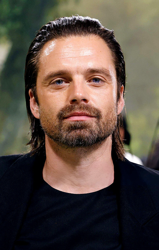 Sebastian Stan picture