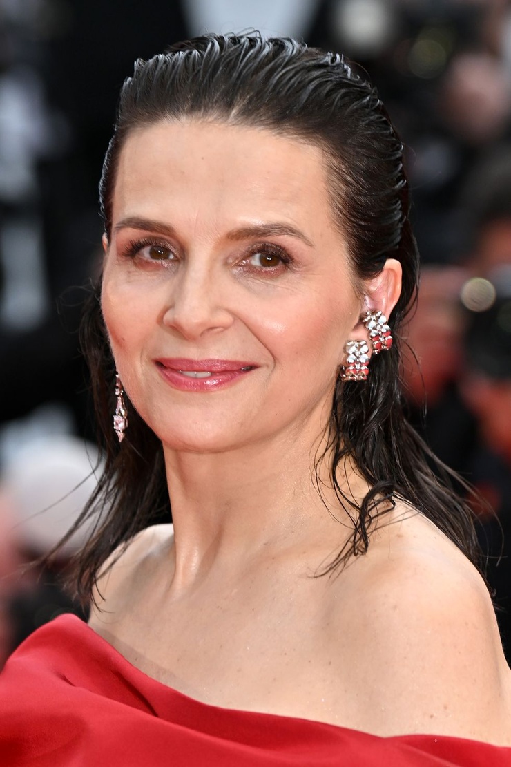 Picture of Juliette Binoche
