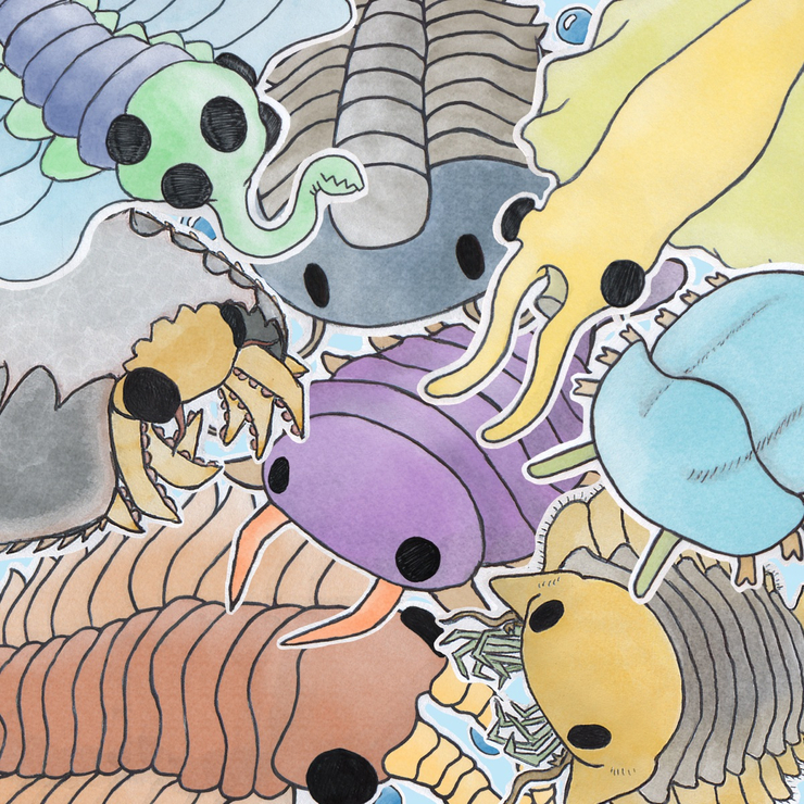 Picture of Cambrian Animals