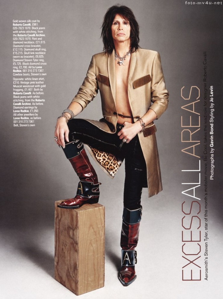 Picture of Steven Tyler