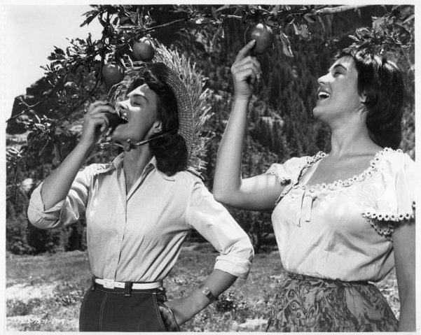 Donna Reed, Roberta Haynes