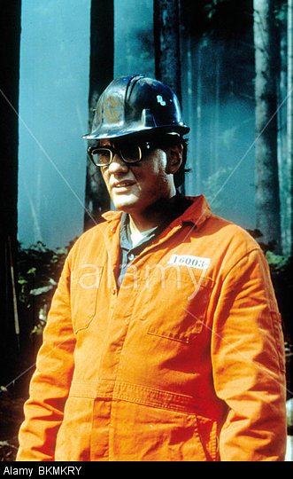 Picture of Firestorm