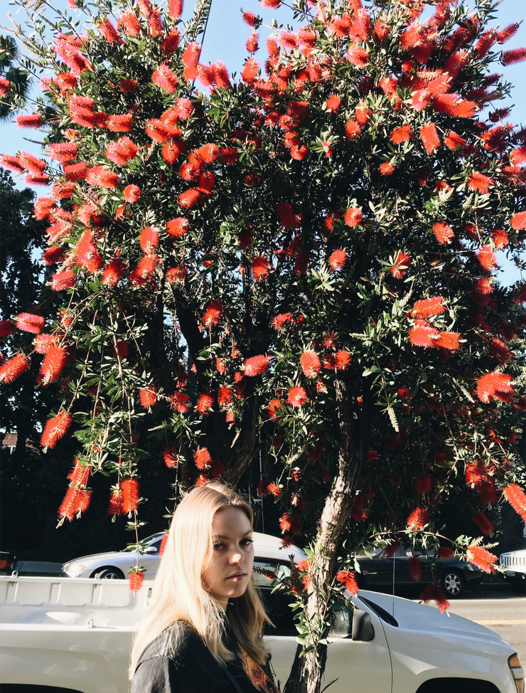 Picture of Renee Rapp