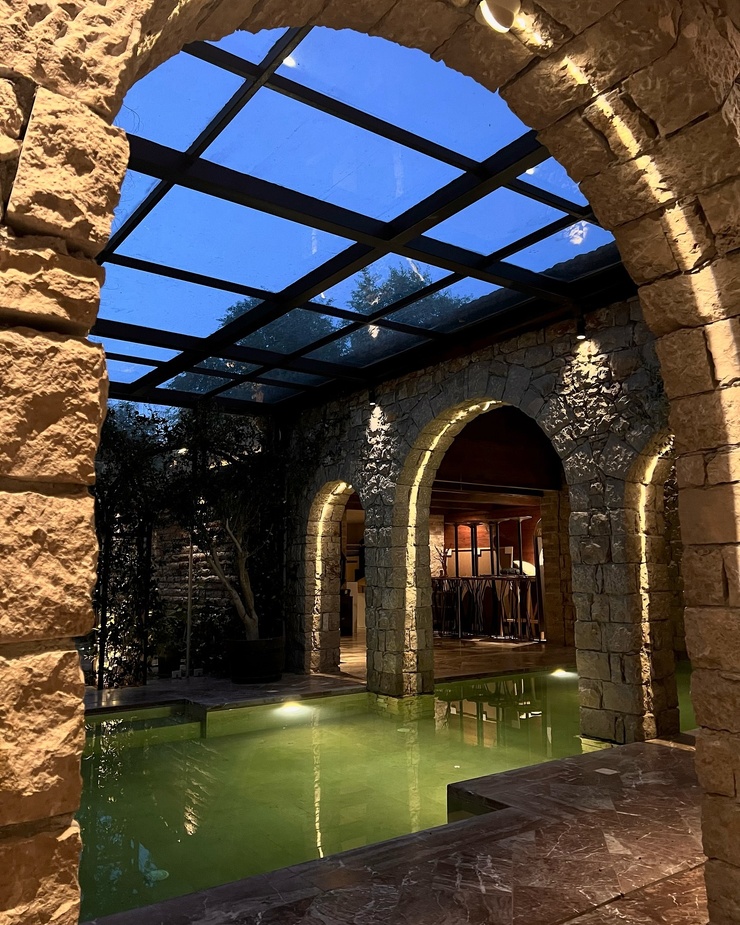 Picture of Megisa Pregna