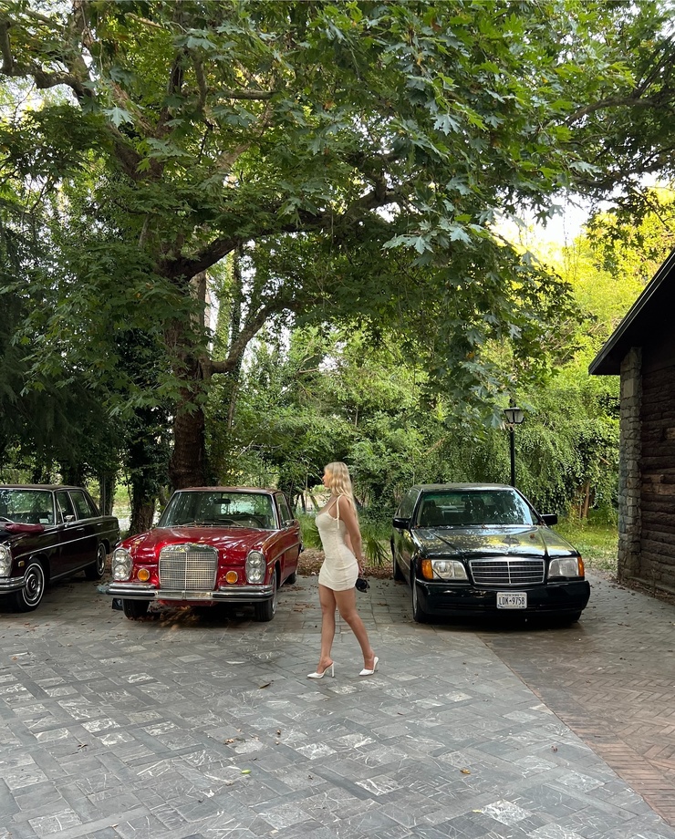 Picture of Megisa Pregna