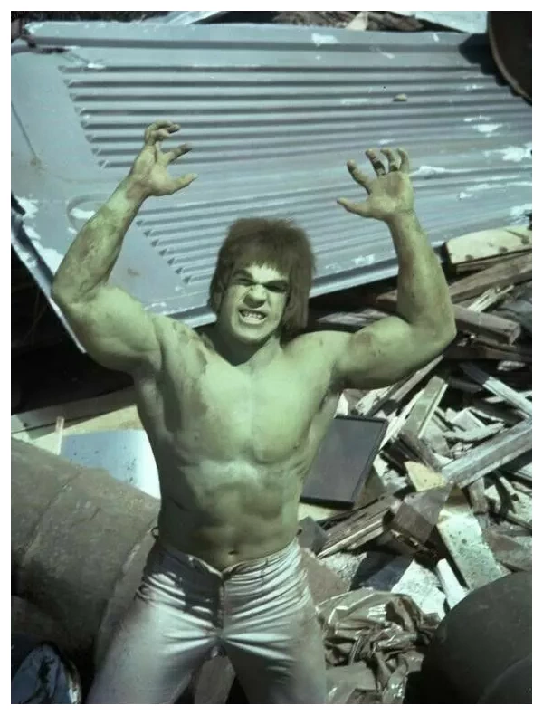 Lou Ferrigno