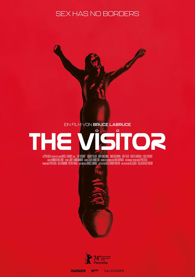 The Visitor image