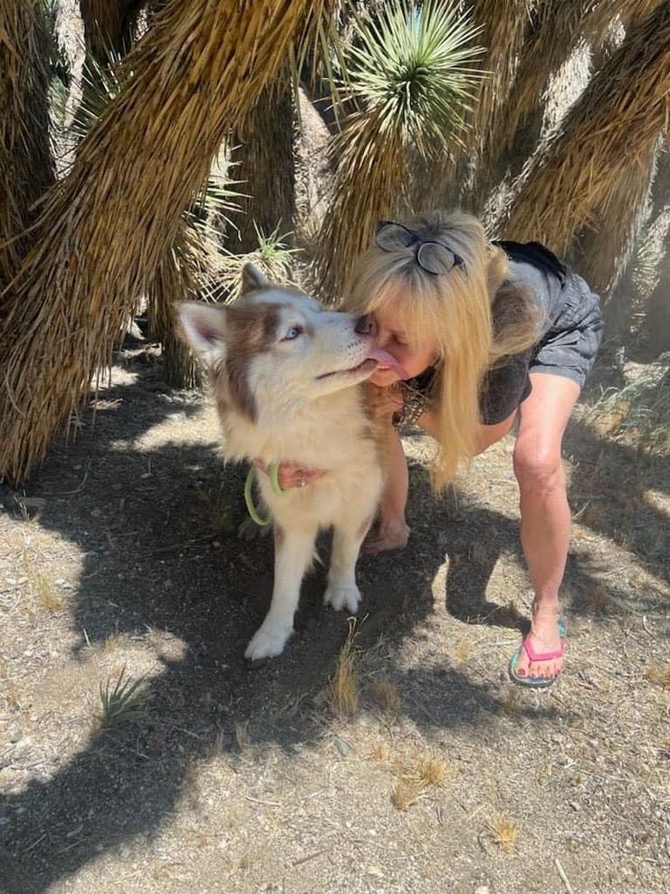 Picture of Linnea Quigley